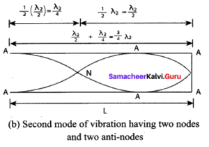 Samacheer Kalvi 11th Physics Solutions Chapter 11 Waves – Samacheer Guru
