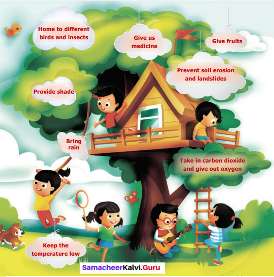 Samacheer Kalvi 6th English Solutions Term 1 Prose Chapter 2 When The Samacheer Kalvi 6th English Solutions Term 1 Prose Chapter 2 When The