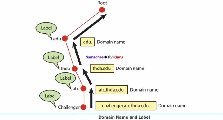 Samacheer Kalvi 12th Computer Applications Solutions Chapter 12 DNS ...