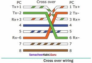 Samacheer Kalvi 12th Computer Applications Solutions Chapter 13 Network ...