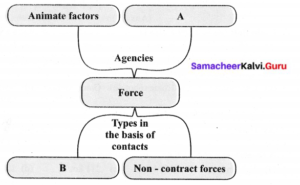 Samacheer Kalvi 6th Science Solutions Term 1 Chapter 2 Force and Motion ...