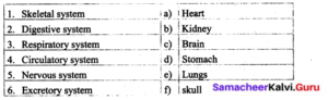 Samacheer Kalvi 6th Science Solutions Term 2 Chapter 6 Human Organ ...