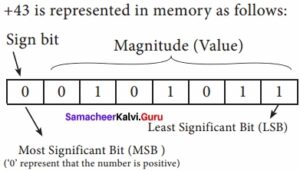 Samacheer Kalvi 11th Computer Applications Solutions Chapter 2 Number ...