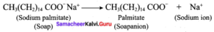 Samacheer Kalvi 12th Chemistry Solutions Chapter 15 Chemistry in ...