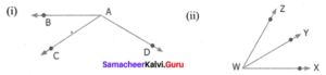 Samacheer Kalvi 7th Maths Solutions Term 1 Chapter 5 Geometry Intext ...